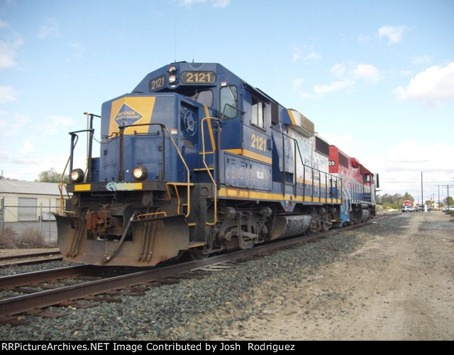 RLK 2121 poses for a nose shot